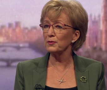 Andrea Leadsom MP leading early years review urges new parents to share ...
