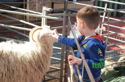 Surrey Heath Mayor in attendance at Frimley Green nursery open day