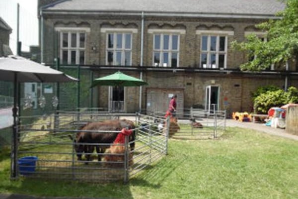 Mayfield Nursery, Springfield University Hospital, 61 Glenburnie Road ...