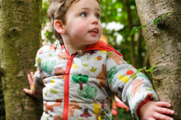 Shenfield Day Nursery, Breakfast & After School Club (St Mary's ...