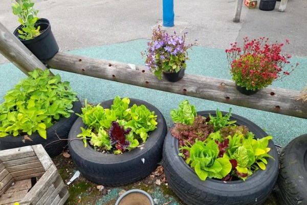 Tiny Toez @ Cannock Chase, Cannock Chase Children Centre, Cannock Road ...