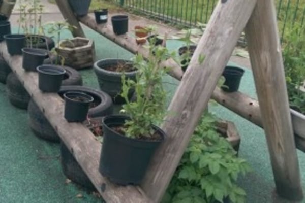 Tiny Toez @ Cannock Chase, Cannock Chase Children Centre, Cannock Road ...