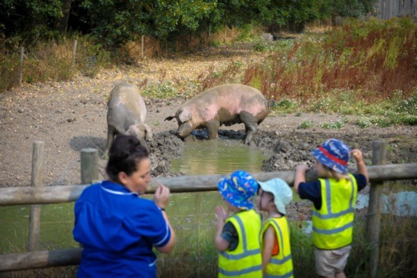 Willows Farm Day Nursery, Willows Activity Farm, Coursers Road, London ...