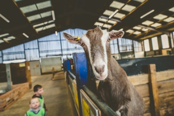 Adventure Farm Day Nursery & Pre-School, Postern Road, Tatenhill ...