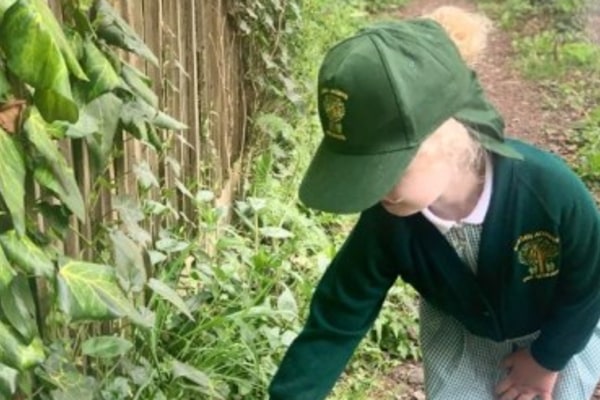 Golden Acorns Chilmark, Chilmark C Of E Primary School, The Street ...