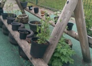 Tiny Toez @ Cannock Chase, Cannock Chase Children Centre, Cannock Road ...