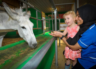 Willows Farm Day Nursery, Willows Activity Farm, Coursers Road, London ...