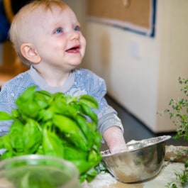 Nelly's Nursery - DSG, Dulwich Sports Ground, 102-106 Turney Road ...