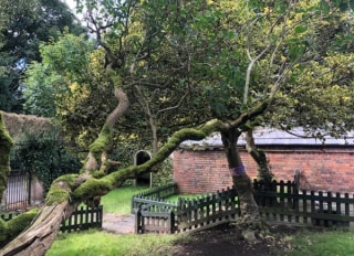 Crewe Nature Kindergarten, Main Road, Weston, Crewe, Cheshire CW2 5LD ...