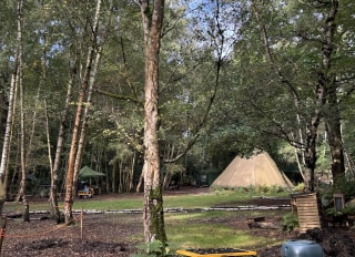 Outdoor Owls Cobham, Walton Firs Activity Centre, Convent Lane, Cobham ...